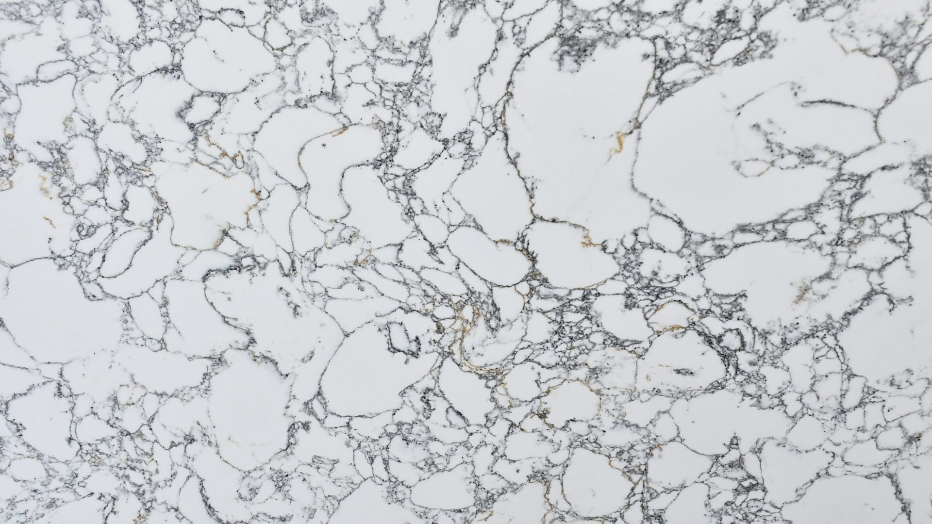 CHATHAM | Element Surfaces