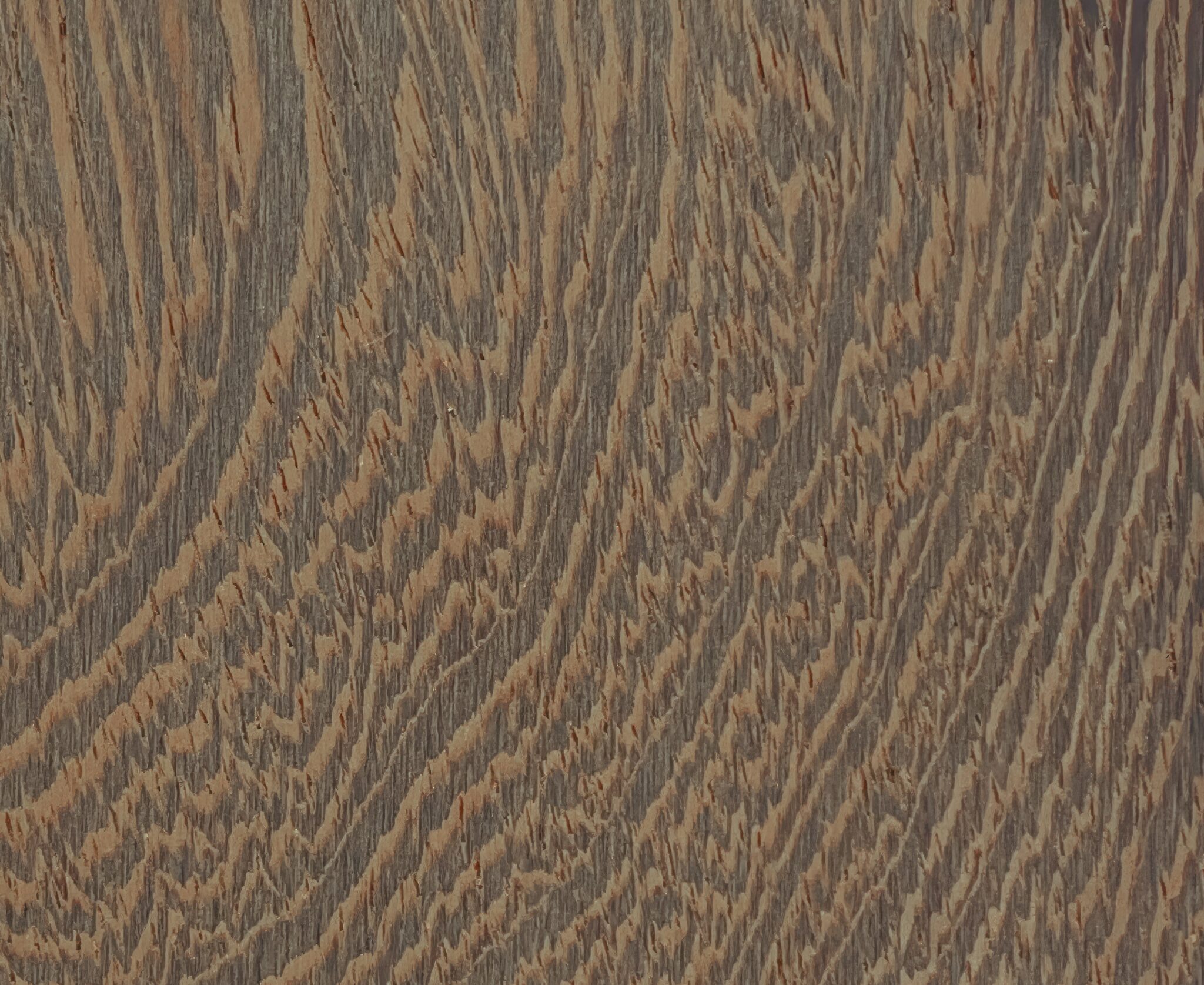 Wenge | Element Surfaces